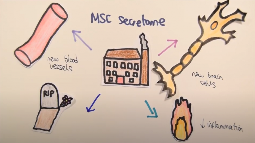 Science Cat – Physiologist, reader, crafter and cat lover