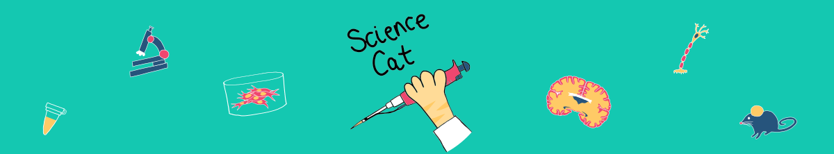 MorePies-7 | Science Cat